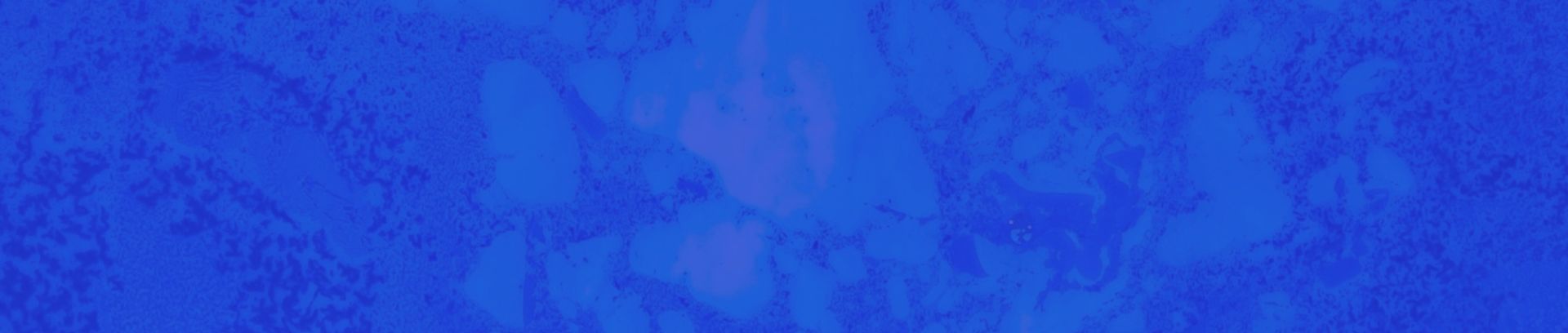 How MACg AI Writing, Citation, Slide, and PubMed Tools Work